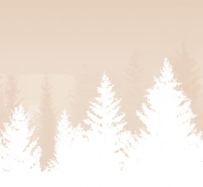 Pine Trees GIFs - Get the best GIF on GIPHY