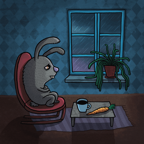 Sad Bunny GIFs - Get the best GIF on GIPHY