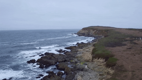 Bodega Marine Lab and Reserve GIFs on GIPHY - Be Animated