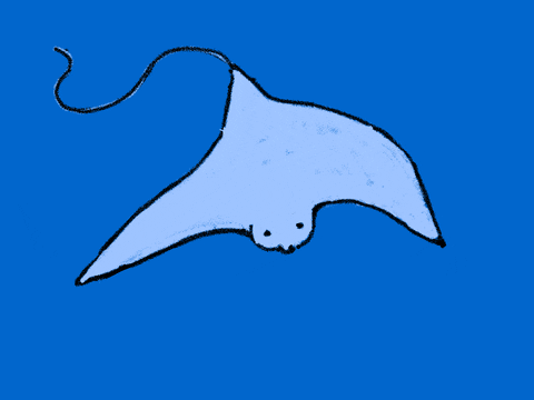 Manta Ray Sea GIF by Kimmy Ramone - Find & Share on GIPHY