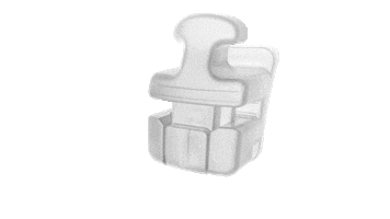 OC Orthodontics GIFs on GIPHY - Be Animated