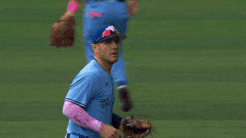 Toronto Blue Jays GIFs on GIPHY - Be Animated