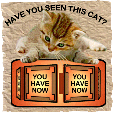 Lost-cat-poster GIFs - Get the best GIF on GIPHY