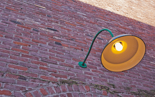 Rejuvenation GIFs - Get the best GIF on GIPHY