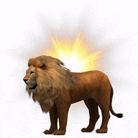 Roaring Lion Animated Gif