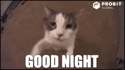 Good Night Cat Meme