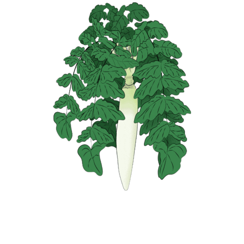 Happy Radish Sticker for iOS & Android | GIPHY