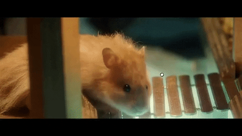 Magical Battle Arena GIFs - Get the best GIF on GIPHY