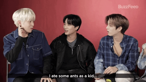 Day6-plays-would-you-rather GIFs - Get the best GIF on GIPHY