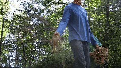 Hay-straws GIFs - Get the best GIF on GIPHY