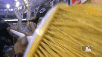 Sweeping Broom Gif