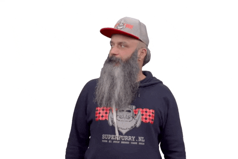 Oh No Bear GIF by Superfurry.nl - Find & Share on GIPHY