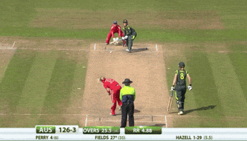Cricket GIFs - Find & Share on GIPHY