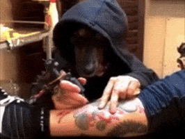 Blog Post Gifs GIFs on GIPHY - Be Animated