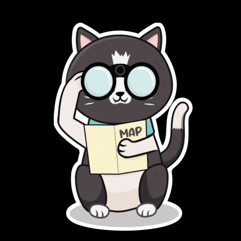 HalalCats GIFs on GIPHY - Be Animated