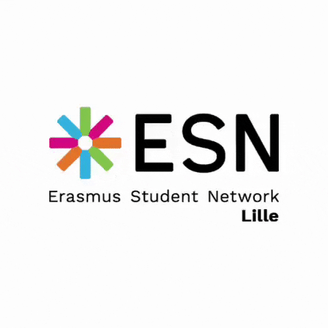 ESN Lille GIF - Find & Share on GIPHY
