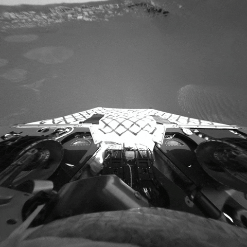 rover dangerfield | Tag | PrimoGIF