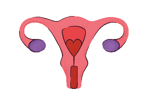 Liderazgos Adolescentes - Girl Up México GIFs on GIPHY - Be Animated