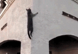 Mission-impossible-5 GIFs - Get the best GIF on GIPHY