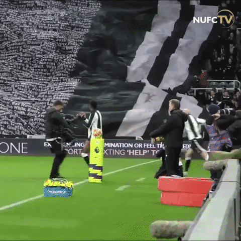 Newcastle United Flags GIF by Newcastle United Football Club - Find ...