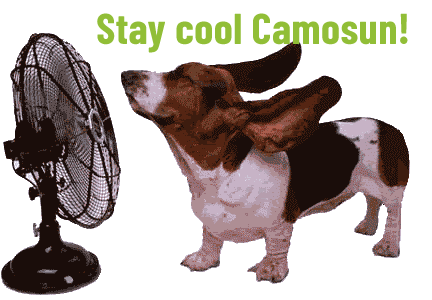 Heat Exhaustion GIFs - Get the best GIF on GIPHY