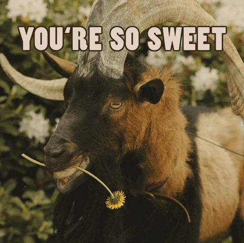 You Are So Sweet GIFs - Find & Share on GIPHY