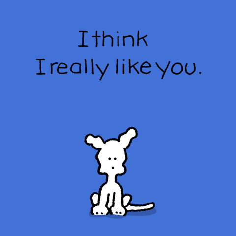 Cute I Like You Gif