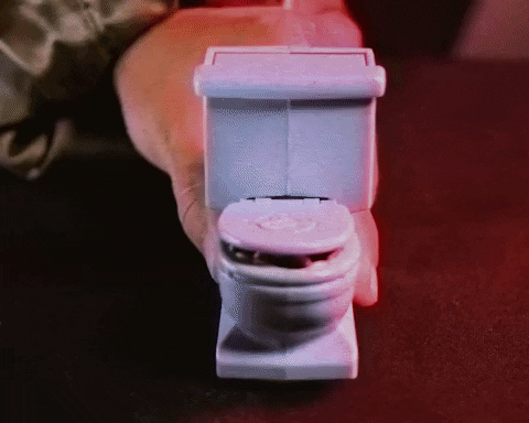 Chiottes GIFs - Get the best GIF on GIPHY