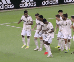 The Best Sports GIFs from September! by Sports GIFs | GIPHY