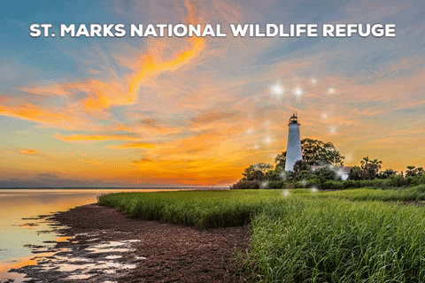 Wildlife-refuge GIFs - Get the best GIF on GIPHY