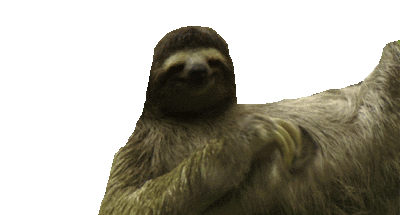 Sloth Deal With It Gif
