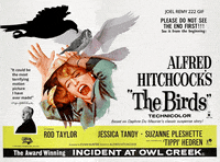 The First Time Movie Gif