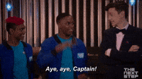 Aye Aye Captain Gif