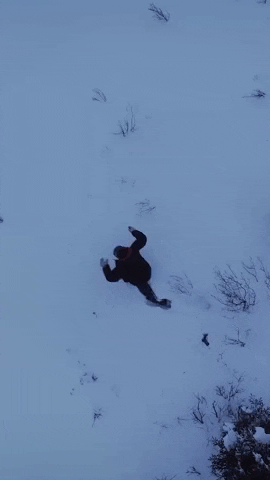 Season 8 Snow GIF by National Geographic Channel - Find & Share on GIPHY