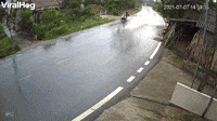 Hogging-the-road GIFs - Get the best GIF on GIPHY