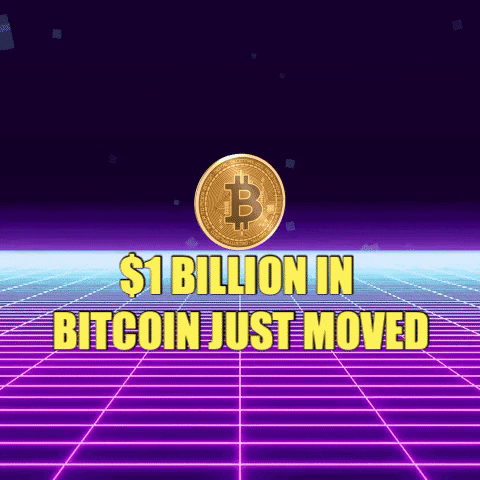 Meme Bitcoin Gif By Crypto GIF - Find & Share on GIPHY