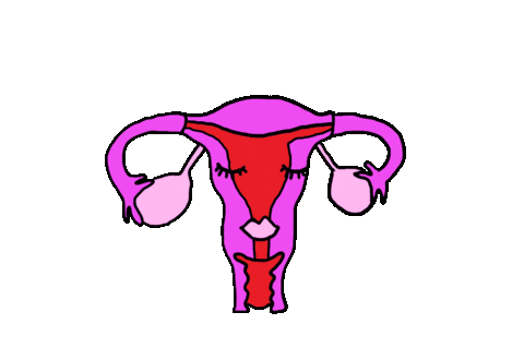 Human Rights Women Sticker by poligono for iOS & Android | GIPHY