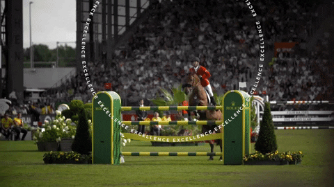 Horse Jumping Gif