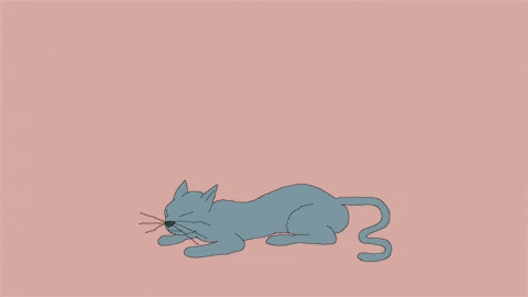 Mr. Lady GIFs on GIPHY - Be Animated
