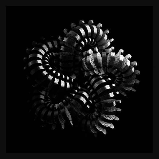 Black And White Loop GIF by xponentialdesign - Find & Share on GIPHY