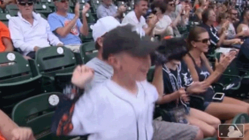 Fan Celebrates GIF by MLB - Find & Share on GIPHY