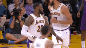 #funny, lol, nba, clap, la, high five, los angeles, lebron james ...