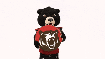 Joe Bear GIFs on GIPHY - Be Animated