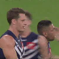 Freo Foreverfreo GIF by Fremantle Dockers - Find & Share on GIPHY