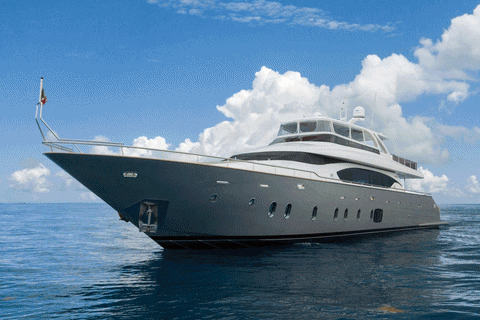 FYI Yachts GIF - Find & Share on GIPHY