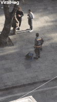 Sweeper GIFs - Get the best GIF on GIPHY