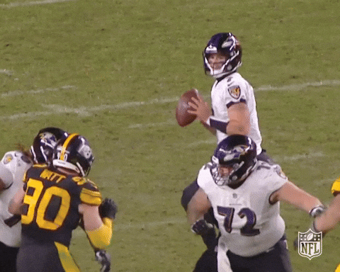 7 Best GIFs from the Steelers-Ravens Game! by Sports GIFs | GIPHY