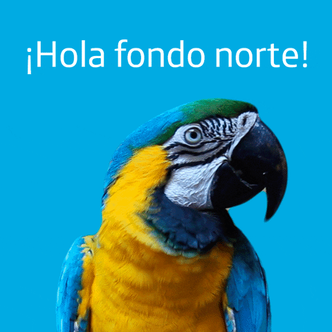 Fondo-norte GIFs - Get the best GIF on GIPHY