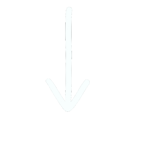 What's the best way to remove mould? - ABC News