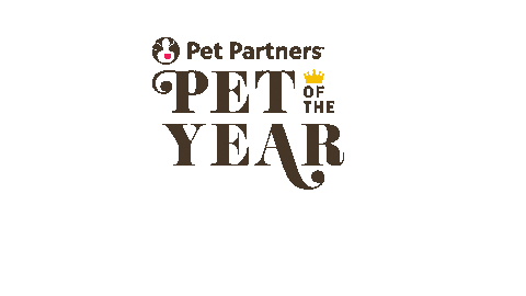 Pet Partners GIFs on GIPHY - Be Animated